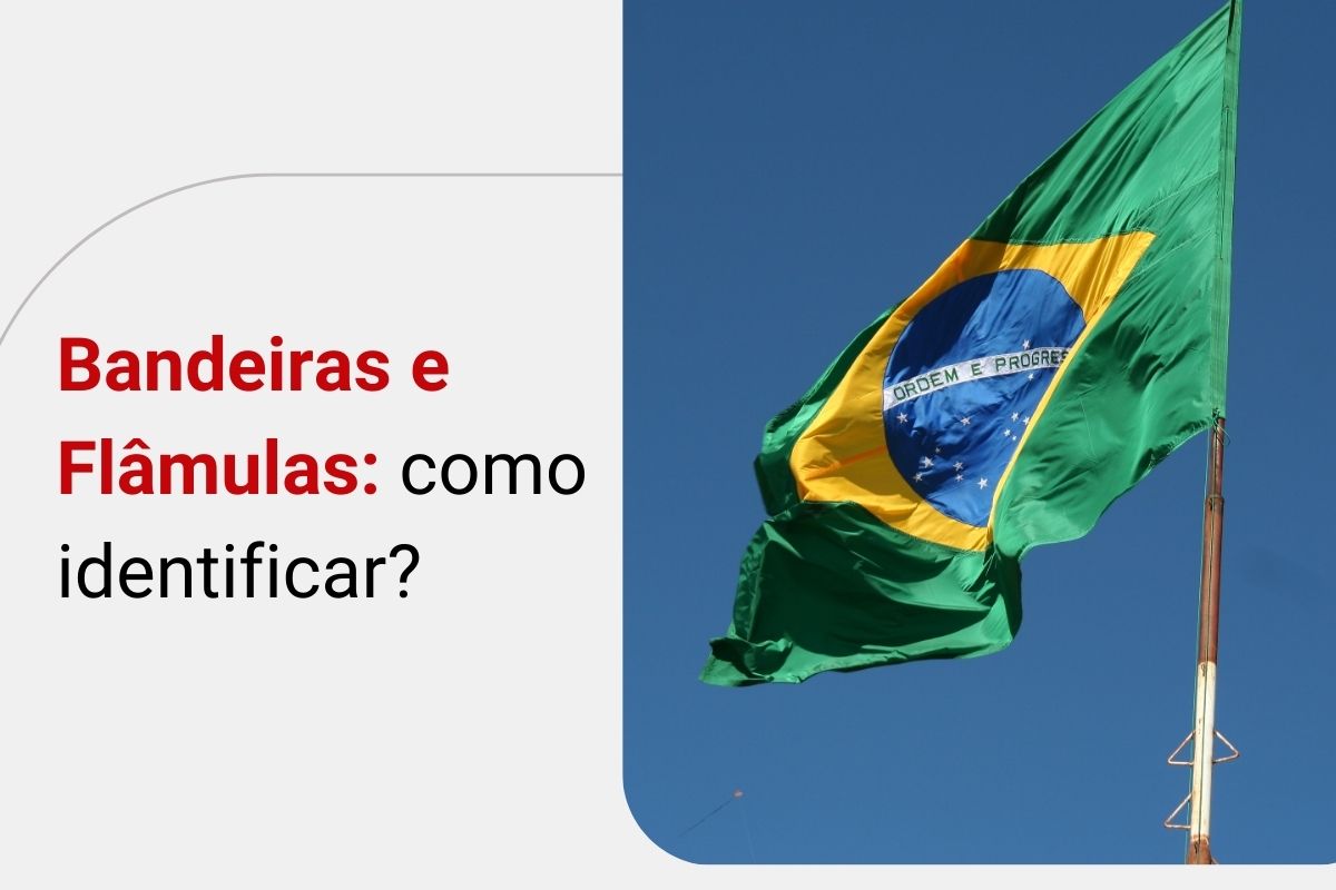 O que é Take Profit e como usar essa ferramenta no Day Trade? - Toro Blog